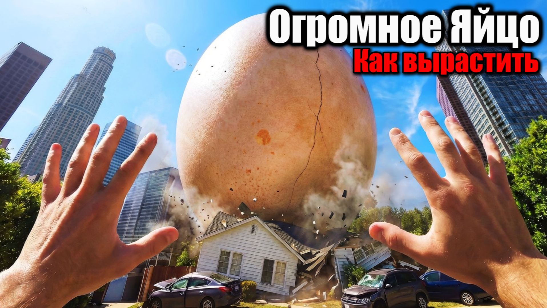 Гигантское Яйцо 🥚. Юмор. Прикол