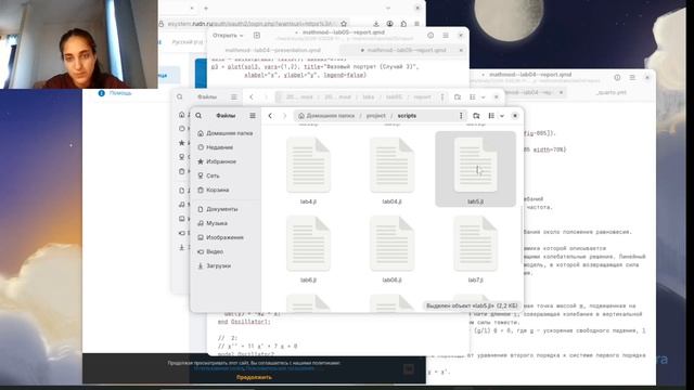 Матмод_лаб5_отчет