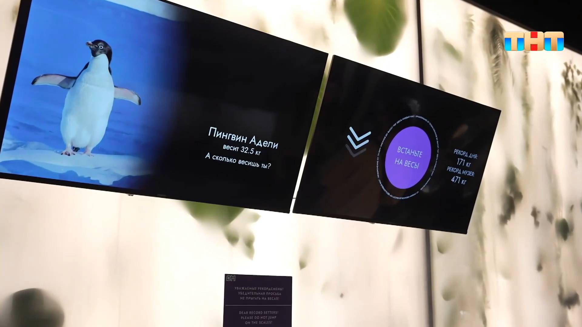 В музее рекордов