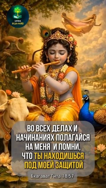 Всегда полагайся на меня