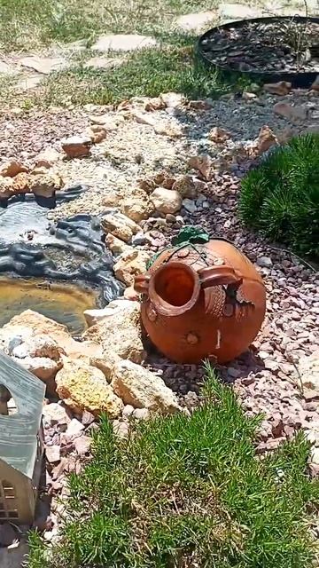 Сад в цвету. Май 2025 . #прекраснаяприрода#цветущийсад