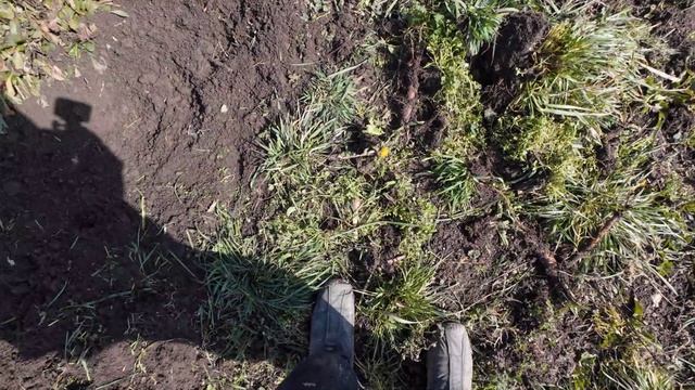 10 марта 2026г. Работаю на улице.