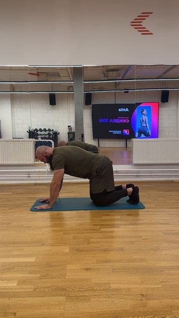 BIRD DOG (птица-собака), ОХОТНИЧЬЯ СОБАКА, КВАДРОПЛЕКС