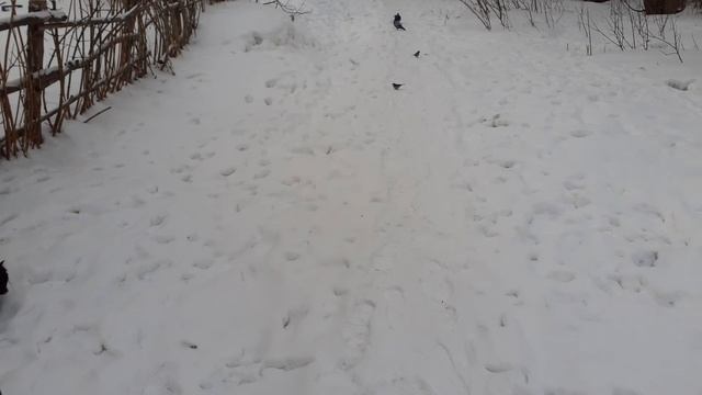 Хорошо на улице.