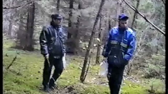 Собираем грибы с Павликом в лесу Телеши.