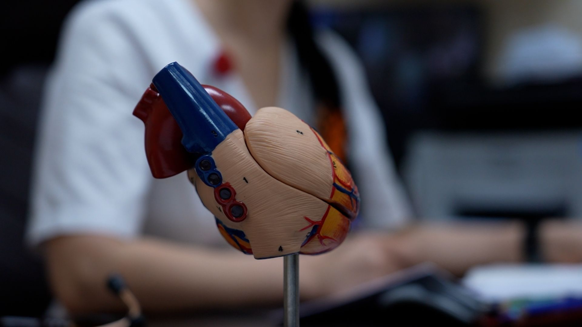 Ставропольские депутаты обсудили поддержку некоммерческих организаций