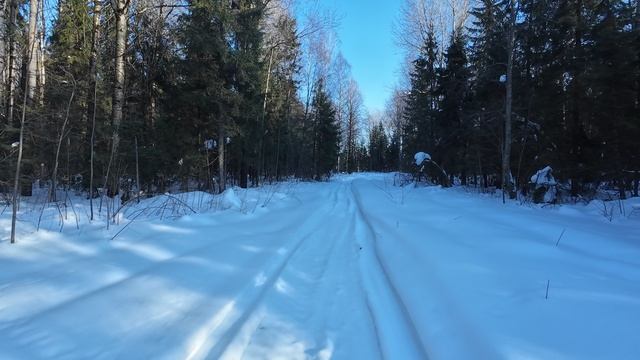 11.03.2026 +  8 градусов