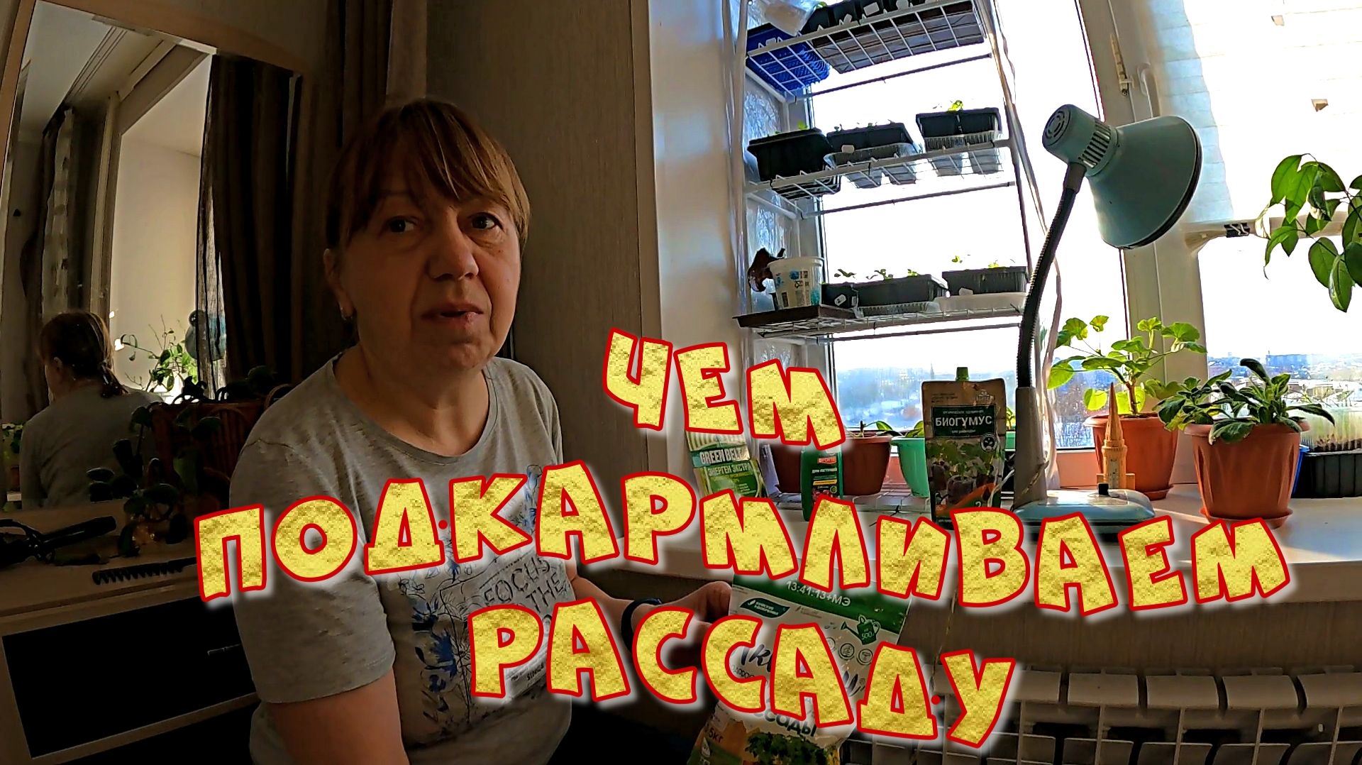 ЧЕМ ПОДКАРМЛИВАЕМ РАССАДУ