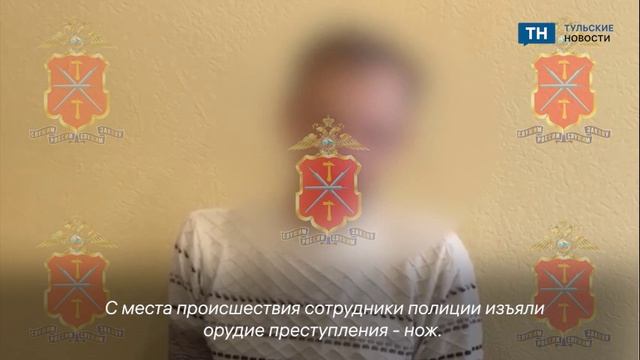 Мужчина ранил сожительницу ножом в Новомосковске