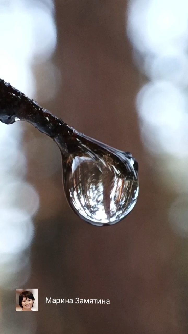 Капельки воды.