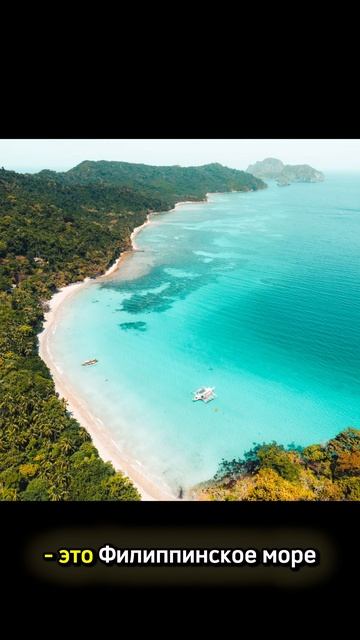 Филиппинское море