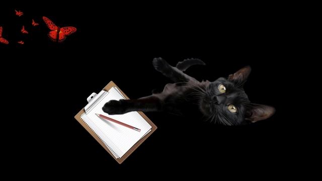 Написать карандашом. Звуки карандаша по бумаге