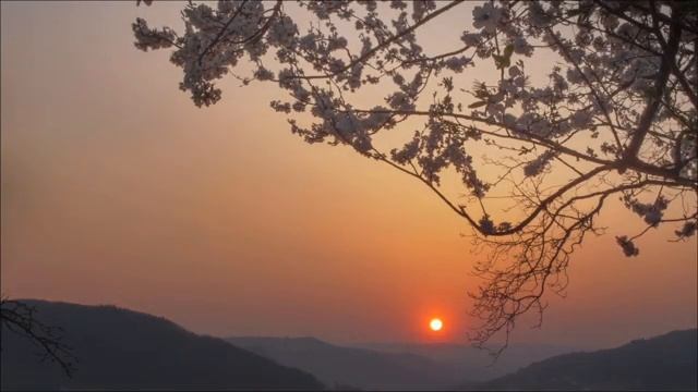 Роковая пятница 13. Кармический прогноз для каждого знака зодиака.