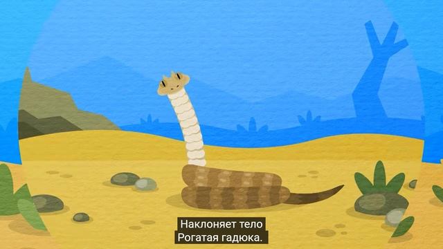 Капиан краб - Жарядка