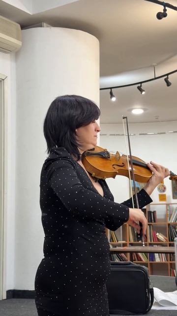 Концерт западноевропейской музыки в художественной галерее Universum