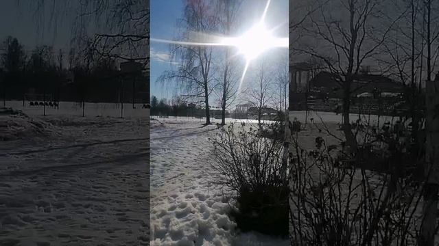 Ленинградская область 2026 12 мар_плюс _Шуваловский парк _лето