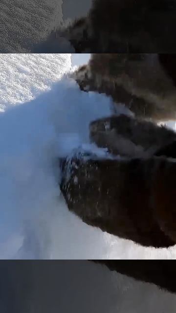 Алеутский дом