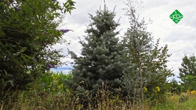 Дикий сад Жана Луи. Анонс. Канал ЗОО ТВ