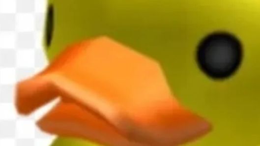 что у нас происходит