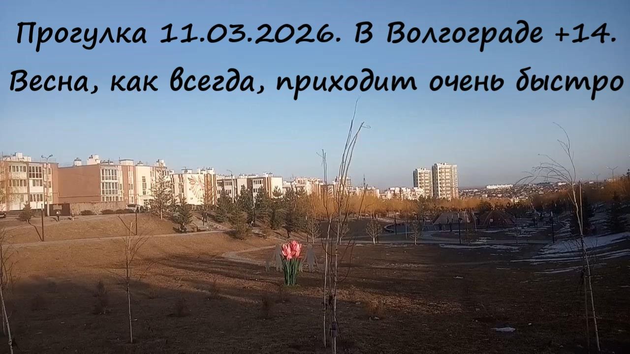 Прогулка 11.03.2026. В Волгограде +14. Весна, как всегда, приходит очень быстро