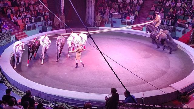 Конный марш Победы: 9 всадников и 14 коней на арене