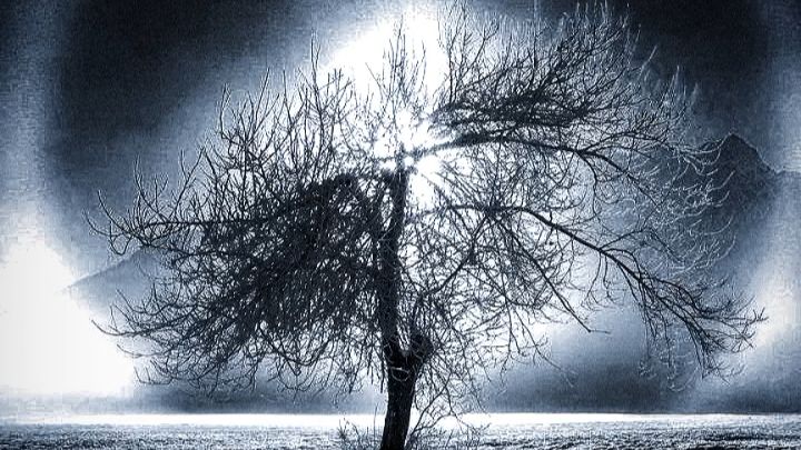 Дополнительная серия