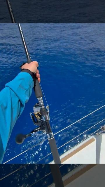 Ваху на стикбейт номер 7 от Mr.Musurok 🔥