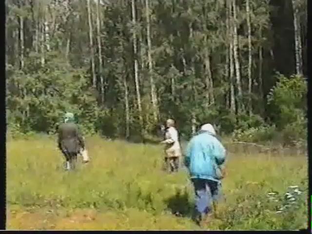 По грибы с Галиной.