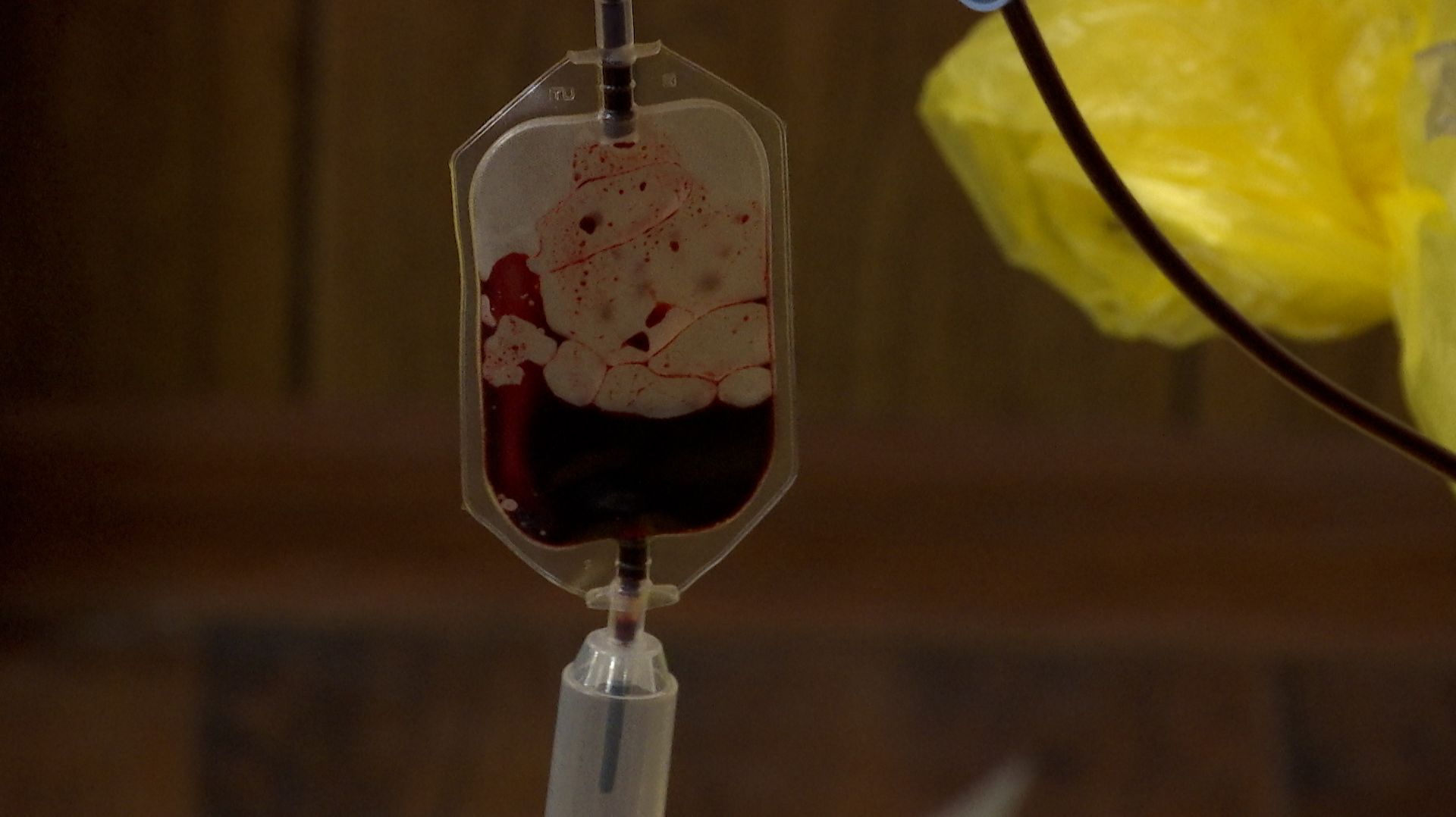 Донорская акция по сдаче крови на СВО