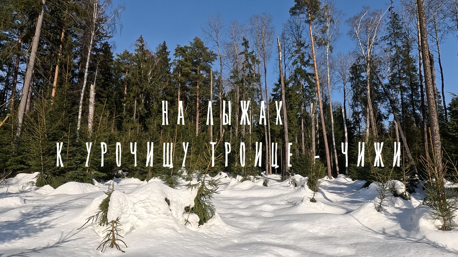 НА ЛЫЖАХ К УРОЧИЩУ ТРОИЦЕ - ЧИЖИ