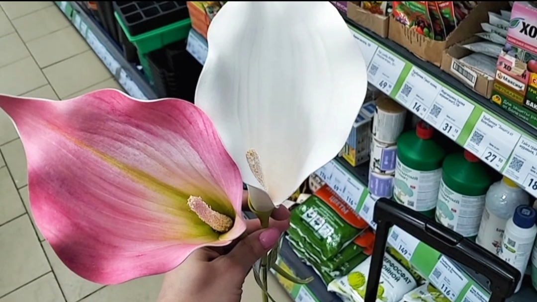 ФИКС ПРАЙС🔥НАДО БРАТЬ🌿Привёз цветные вазы, товары для дома, для красоты и декор🌿МАРТ 2026г