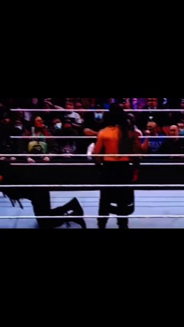 СЮЖЕТ РЕЙНСА И РОЛЛИНСА ЕСЛИ БЫ РУКОВОДИЛА СТЕФАНИ МАКМЕН.