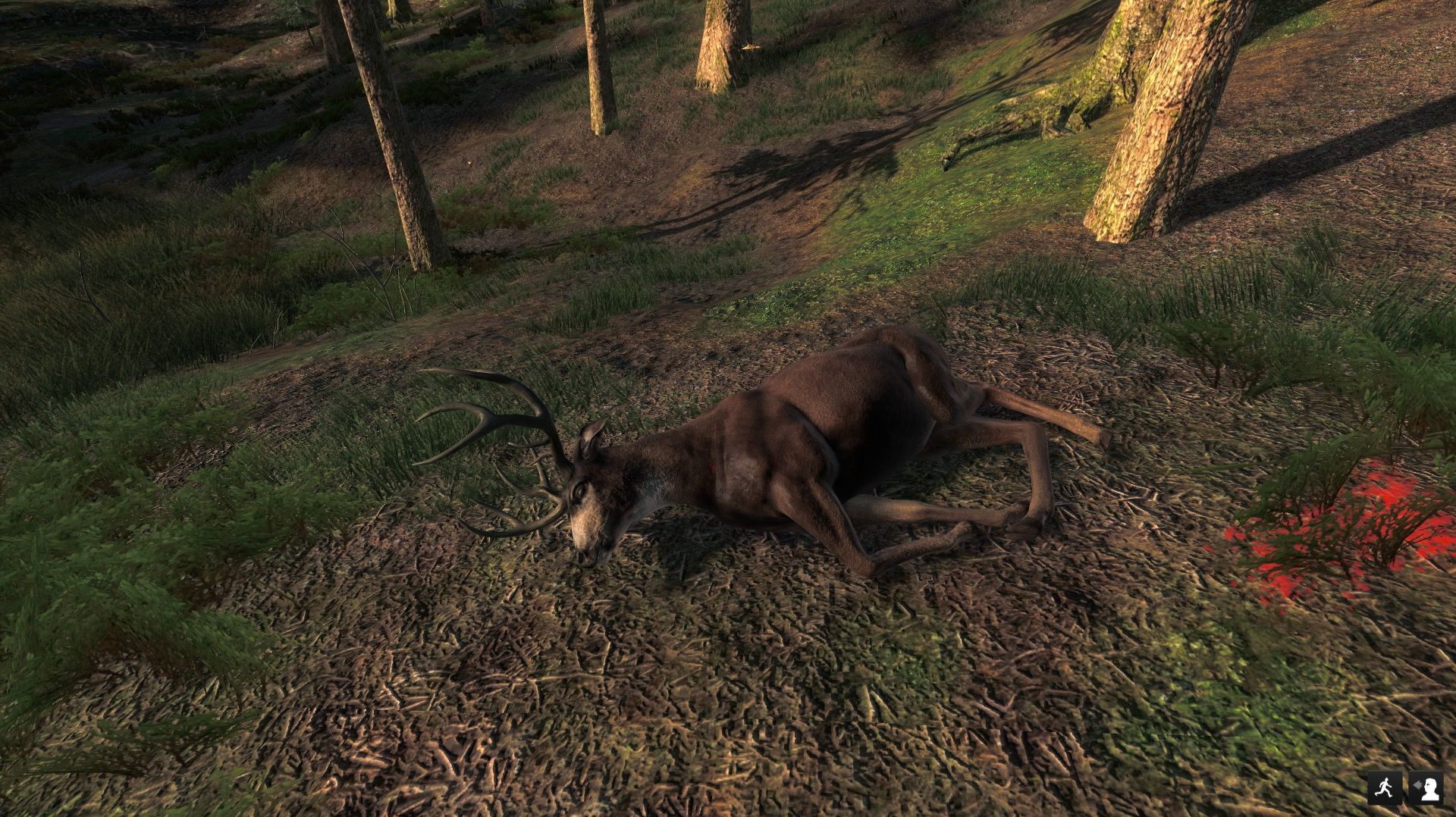 theHunter Classic - 2026-03-11 22-23-05