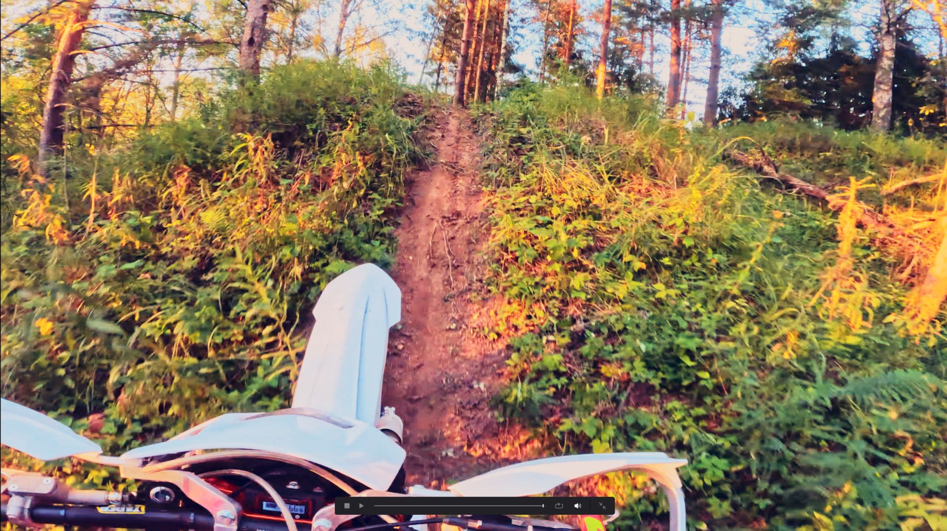 Выезд после операции на ахилле чуть не закончился трагически | май 2023 г.