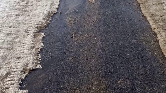 Заячьи следы, ручьи побежали🐰🌧