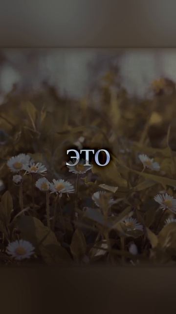 Зима наконец закончилась, пора начинать свою новую жизнь и путь к успеху