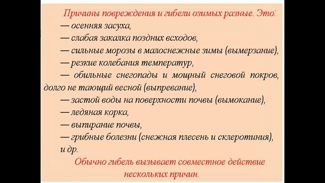 Комплектование МТА - 13.03. 231 группа