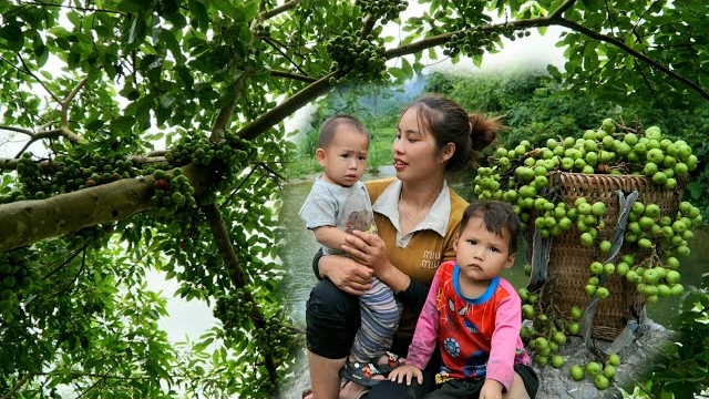 Мама поневоле. Дуонг. Расширяю курятник и утятник. Собираю инжир на продажу. Серия 84