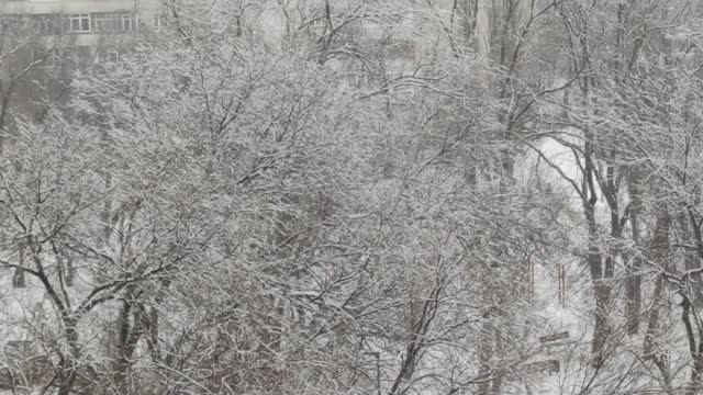 Мартовский снежный сюрприз 2026