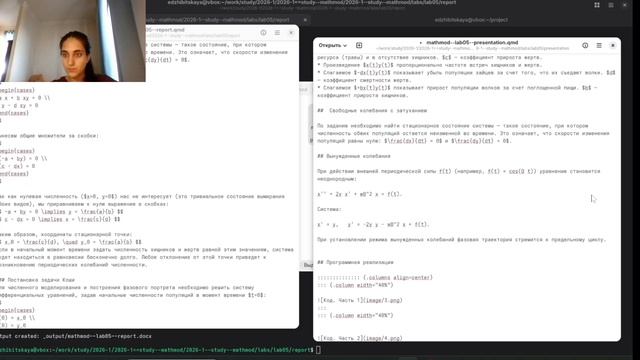Матмод_лаб5_презентация