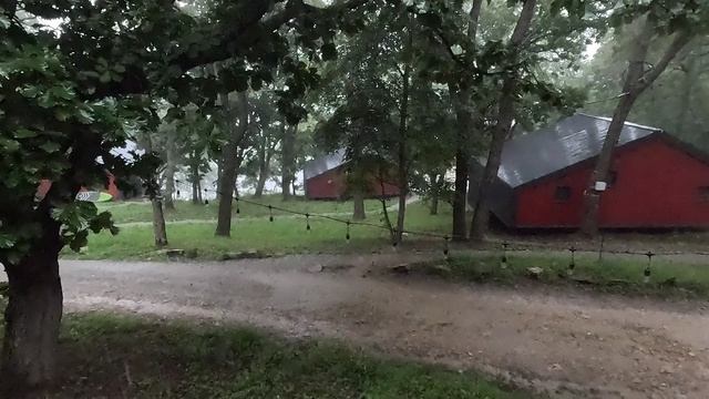 Рано утром к другому пляжу бухты Витязь 🇷🇺 | Коровы на дороге