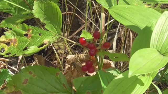 Страницы из 2019г 20ч