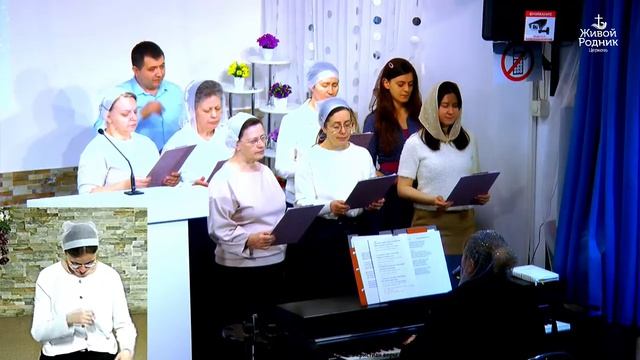 Как цветок полевой