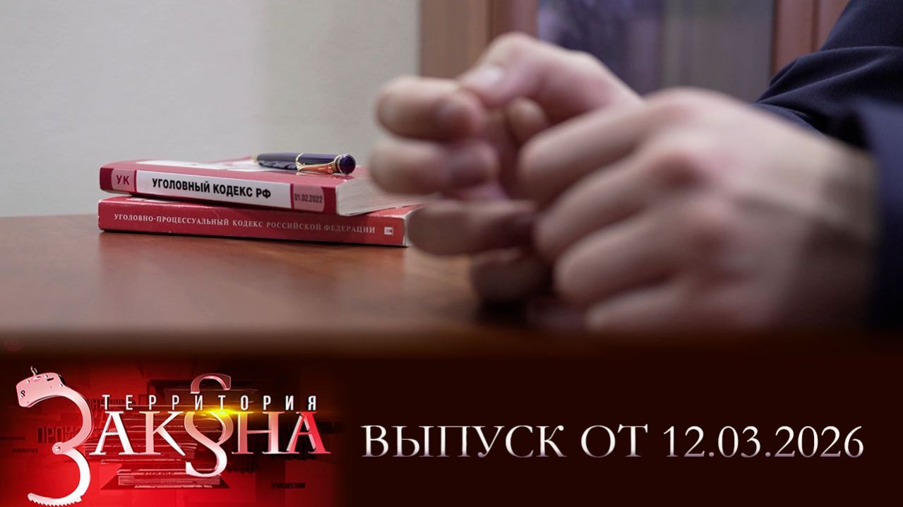 Дача взятки; приговор за убийство; сокрытие денежных средств от налогового органа. Территория закона