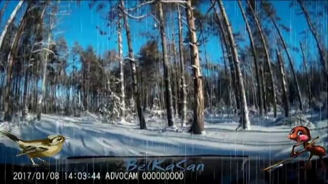 Ай, да тройка!