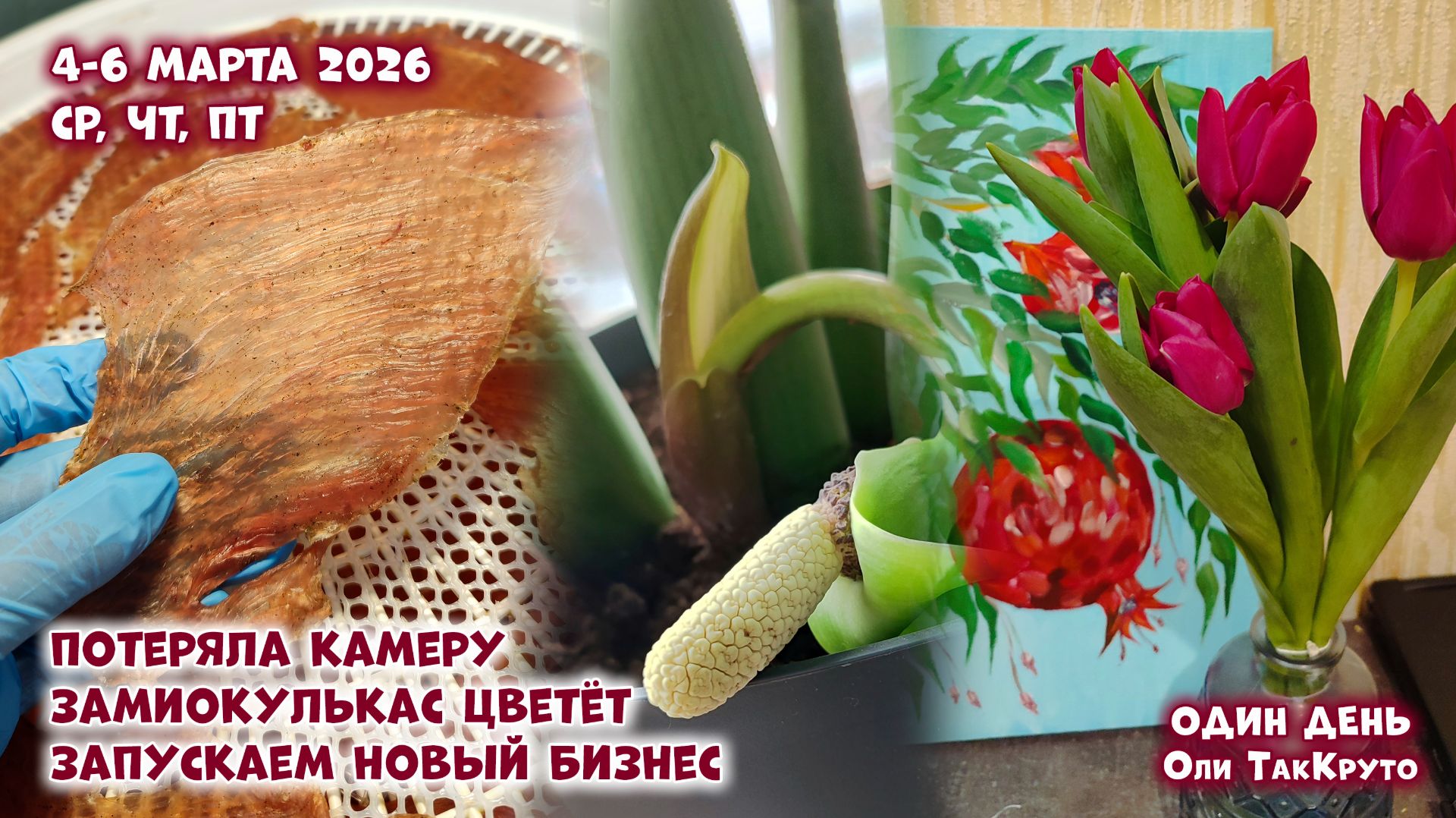 Запускаем новый бизнес, делаем мясные чипсы (вяленое мясо). Потеряла камеру. Дни с Олей ТакКруто