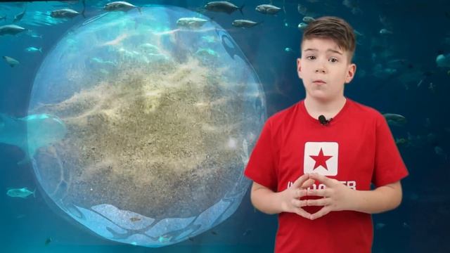 ТАЙНЫ МИРОВОГО ОКЕАНА | ДИМА ЧЕРНЫХ