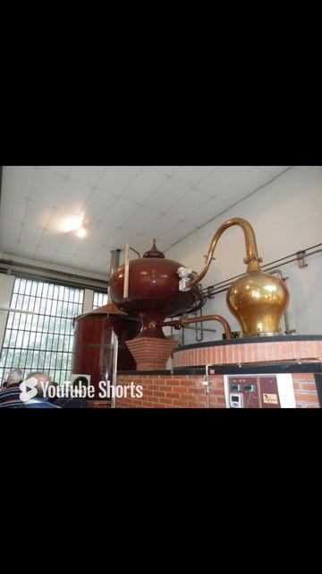 Франция. Экскурсия на винокурню. Кальвадос