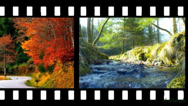 Vasim - December Snow