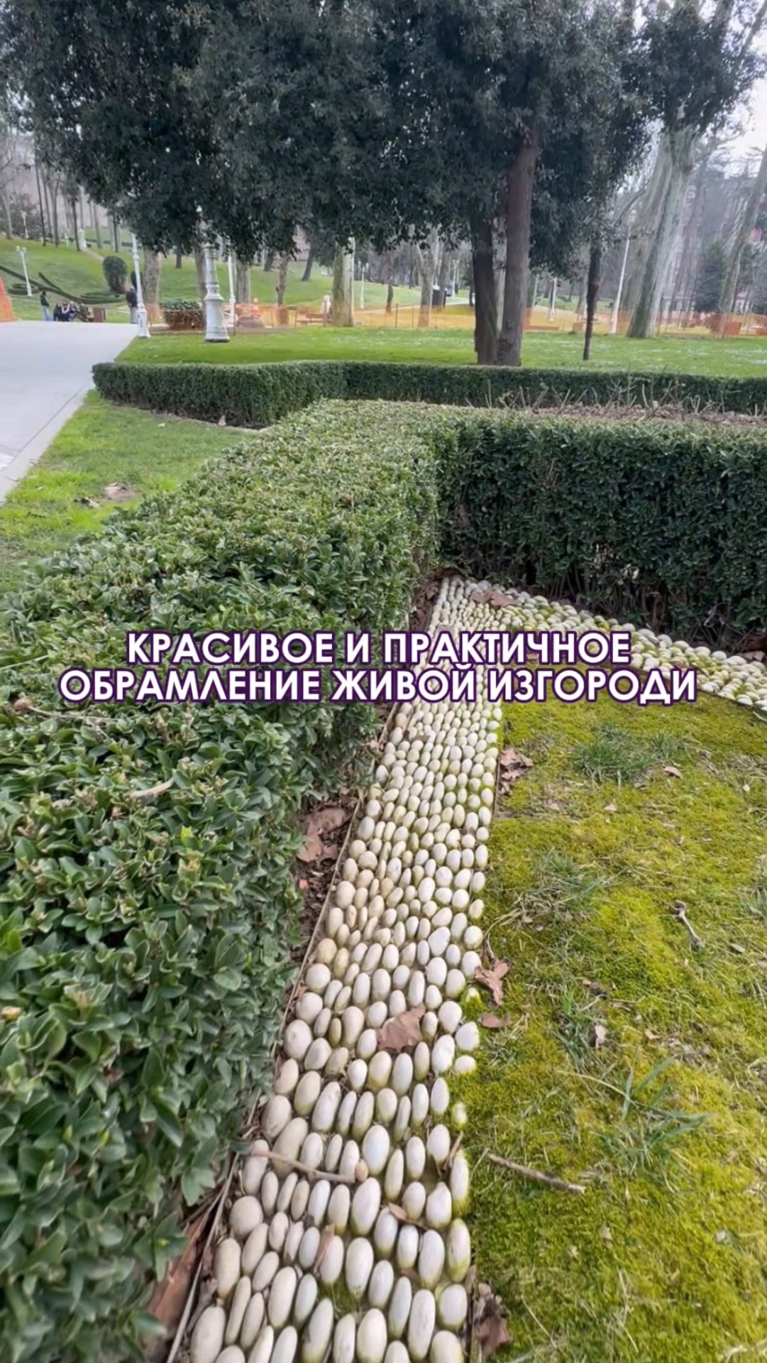 Красивая и практичная обрамление живой изгороди